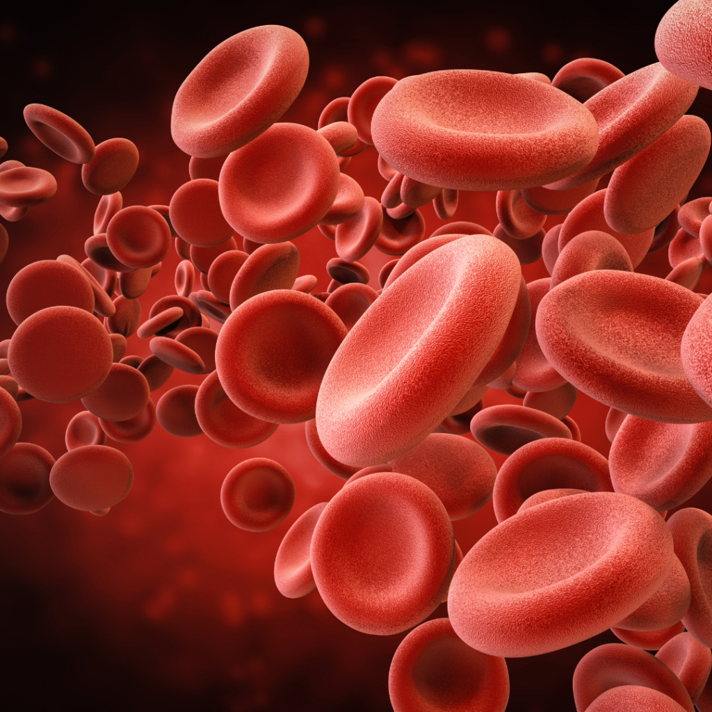 How Does Blood Type Affect Health? - Healthhype
