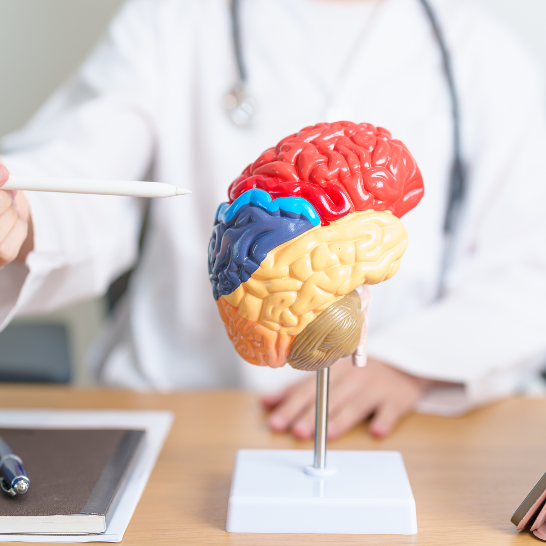 Do Humans Use 10% of Brain? - Healthhype