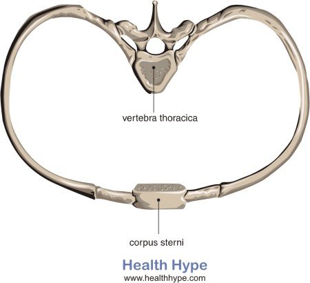 Bone Infection - Acute and Chronic Osteomyelitis - Healthhype