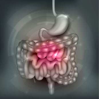 Burst Bowels - Causes of Small or Large Bowel Tears - Healthhype